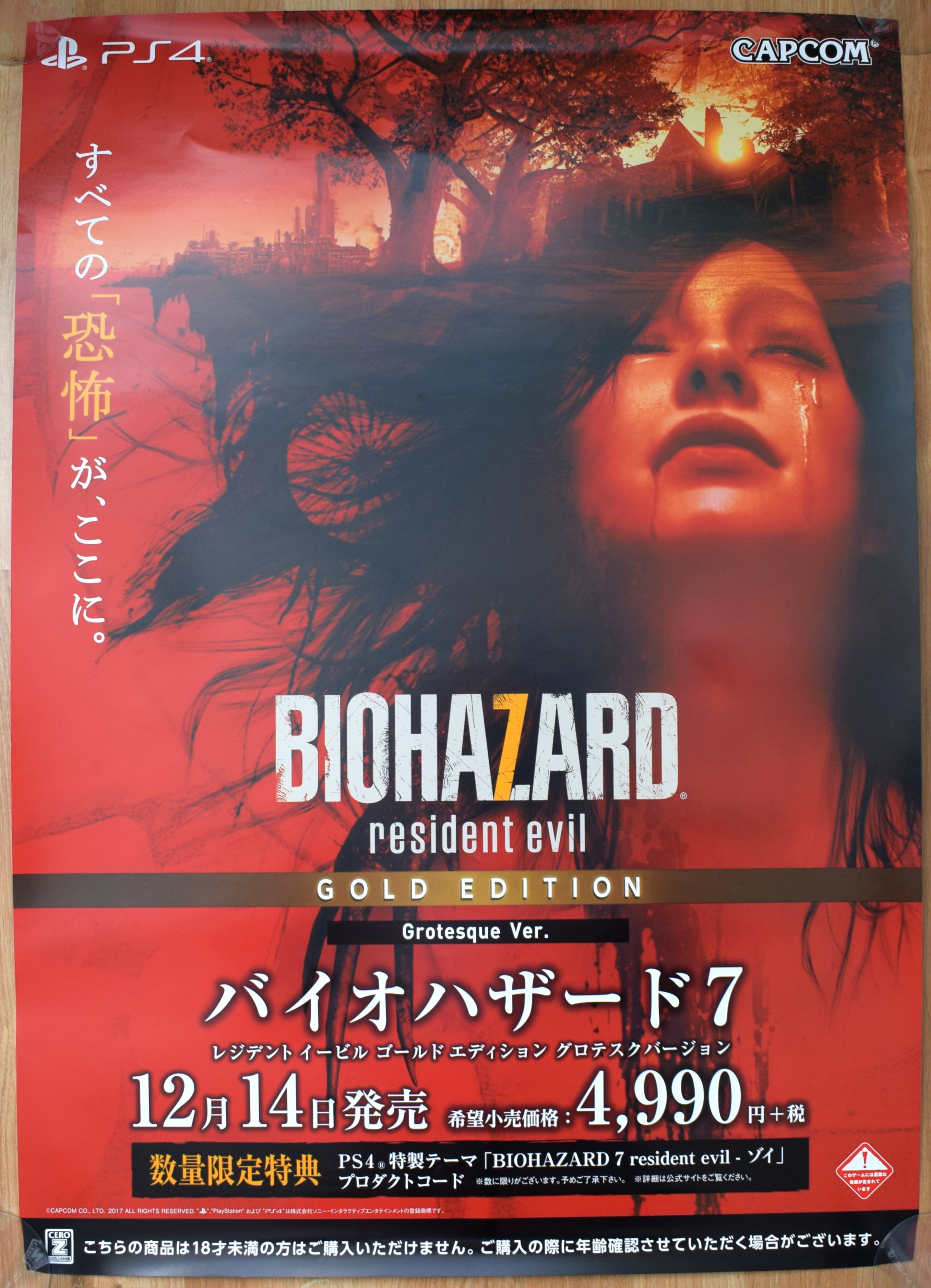 Resident Evil 7: Biohazard (B2) Japanese Promotional Poster #1 – The ...