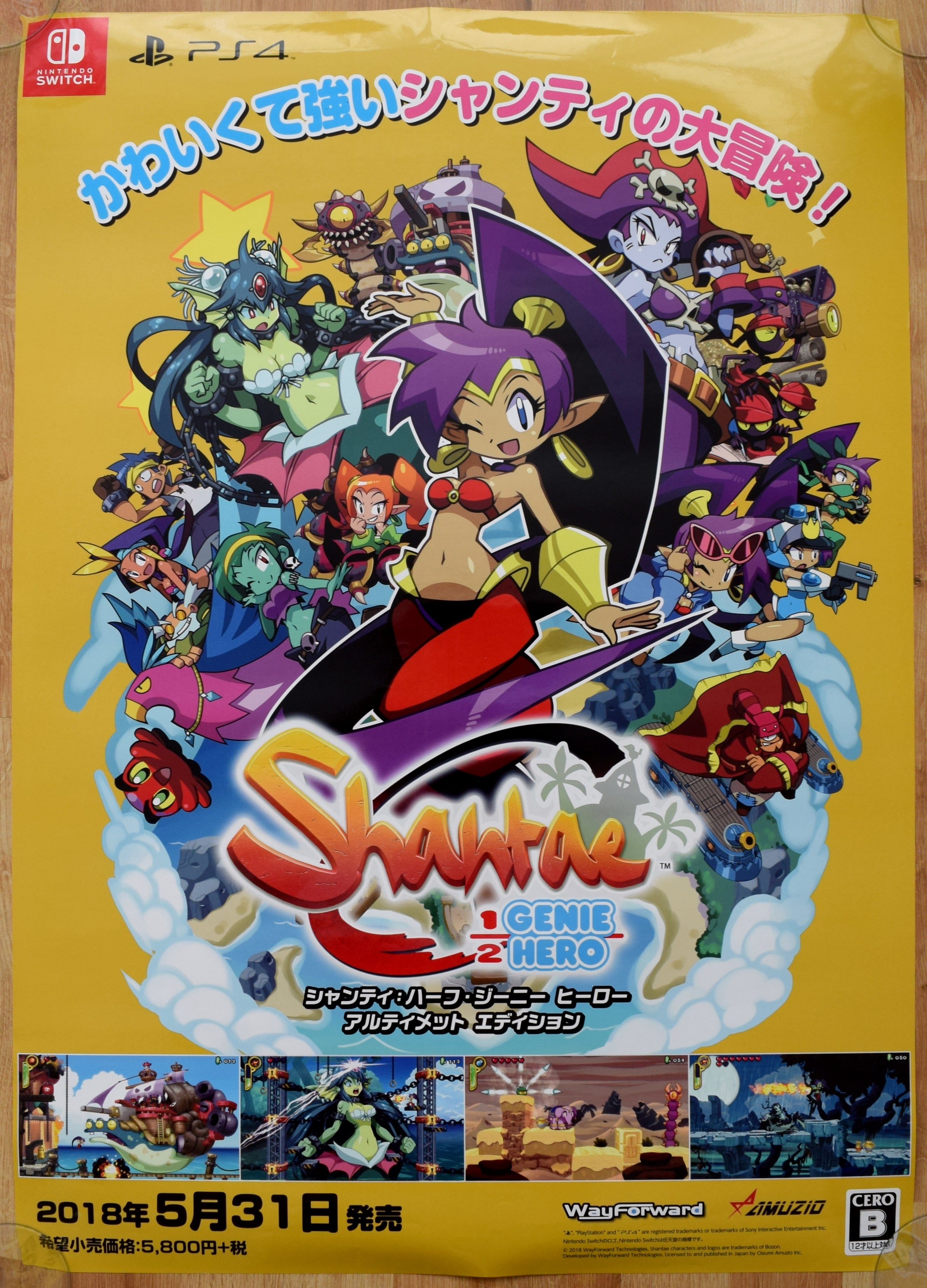 Shantae: 1/2 Genie Hero (B2) Japanese Promotional Poster – The Poster Hut